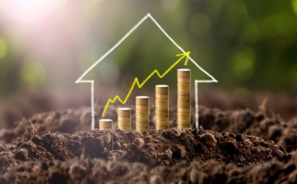 WHAT IS DEVELOPMENT FINANCE WHAT IS DEVELOPMENT FINANCE